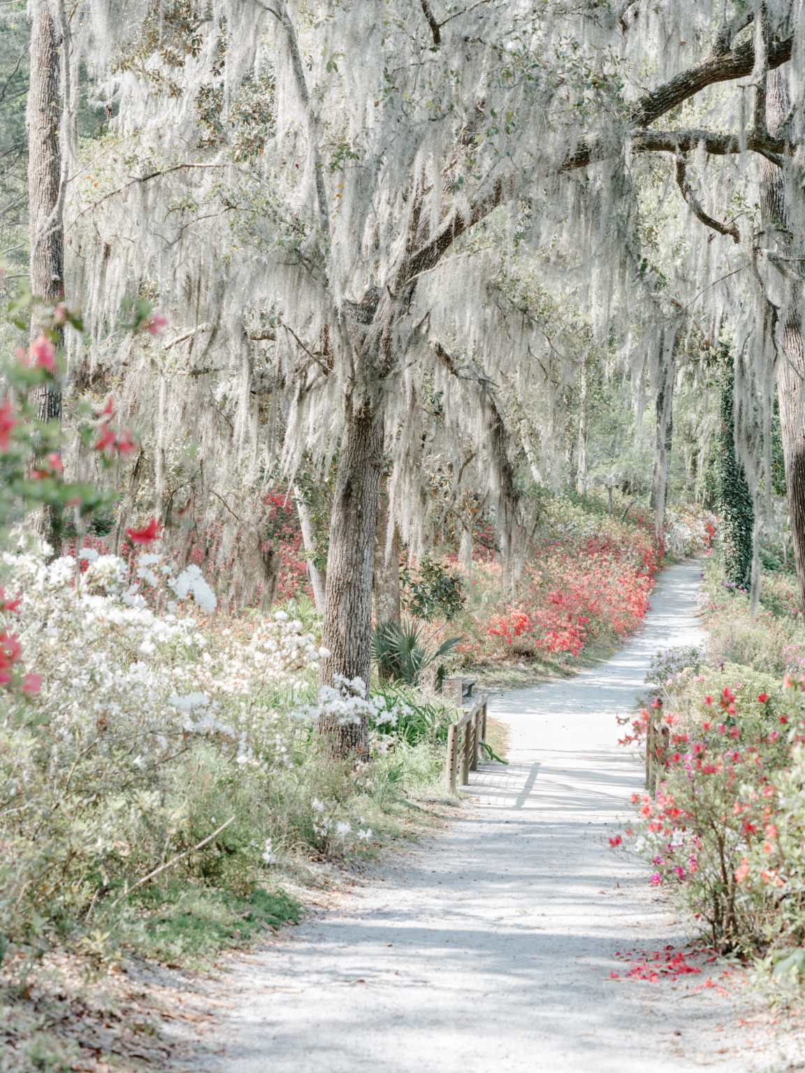 Springtime in Charleston, South Carolina - Travel